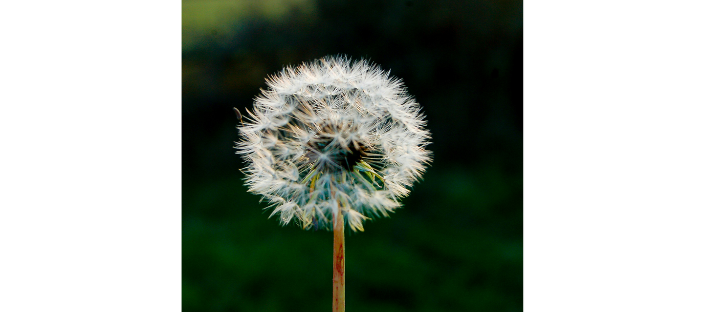 How to Maintain Positivity by Knowing Your Worth | What Waist