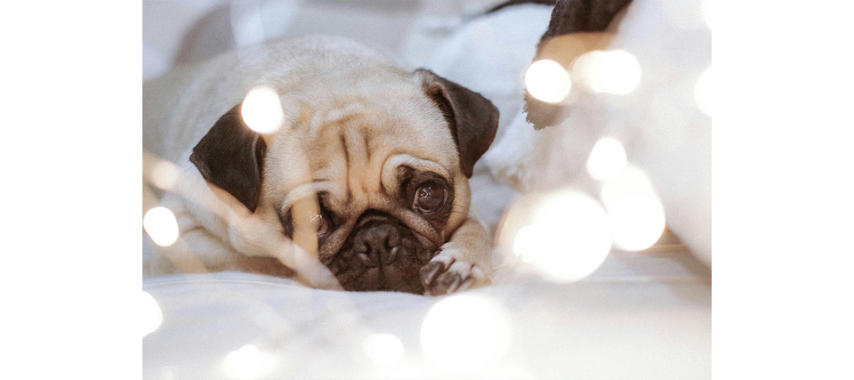 Why Stress Causes Wrinkles | What Waist